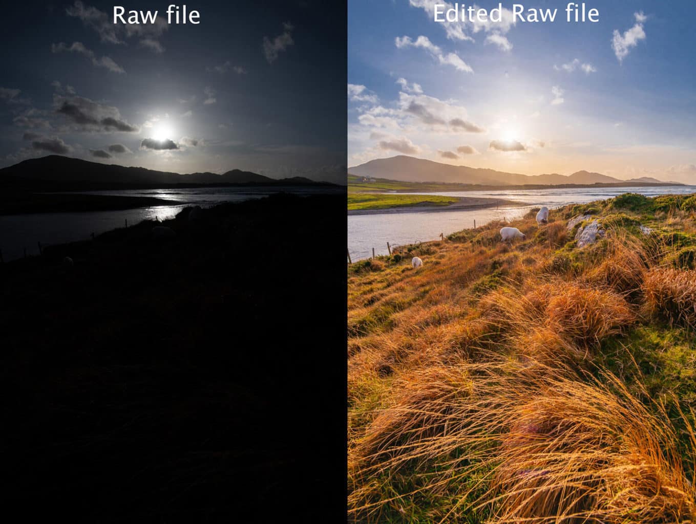 JPEG Vs RAW For Photographers : Which One Is Best?