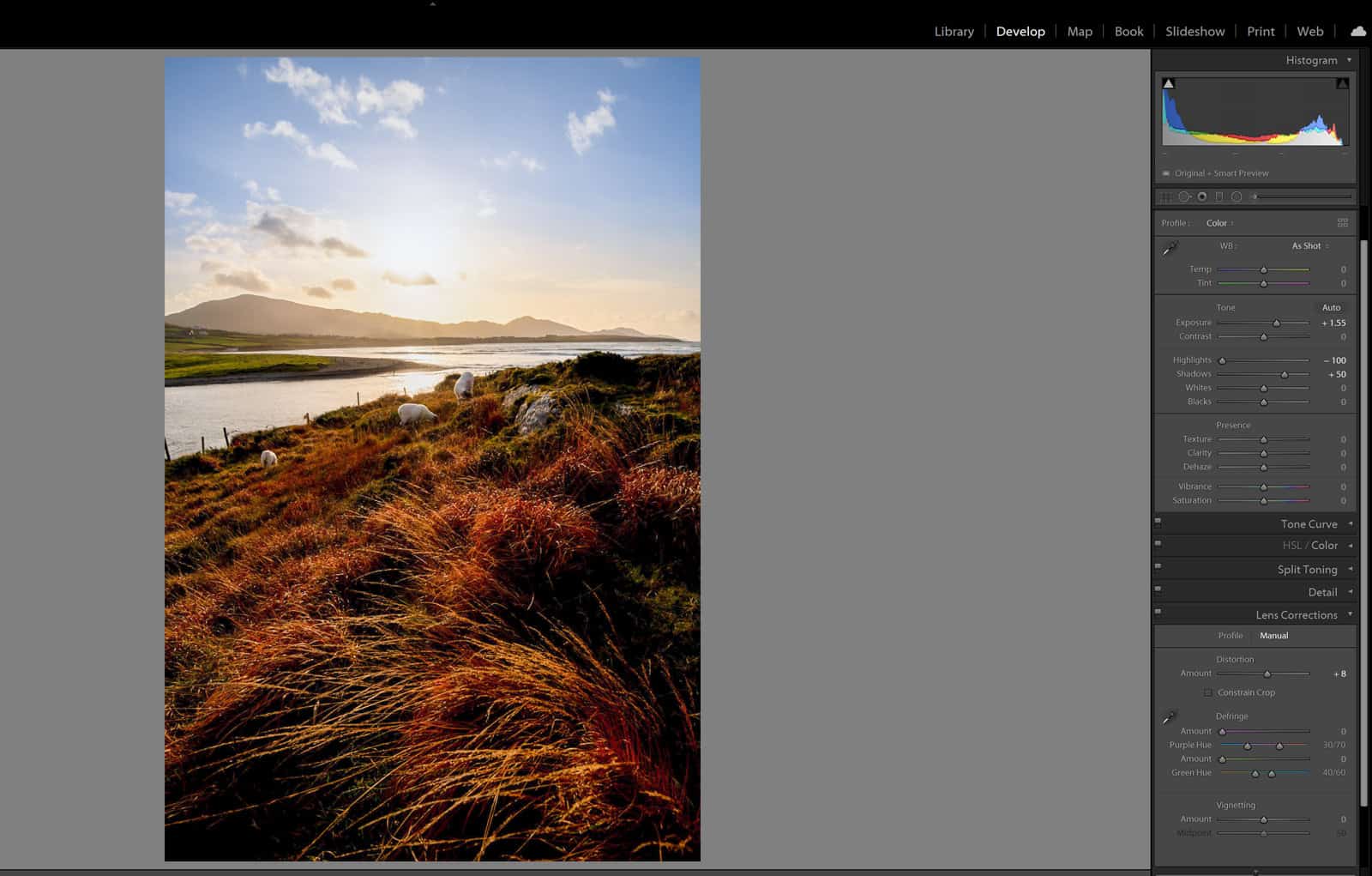 Jpeg vs Raw which is best & why - Ultimate Photography tips